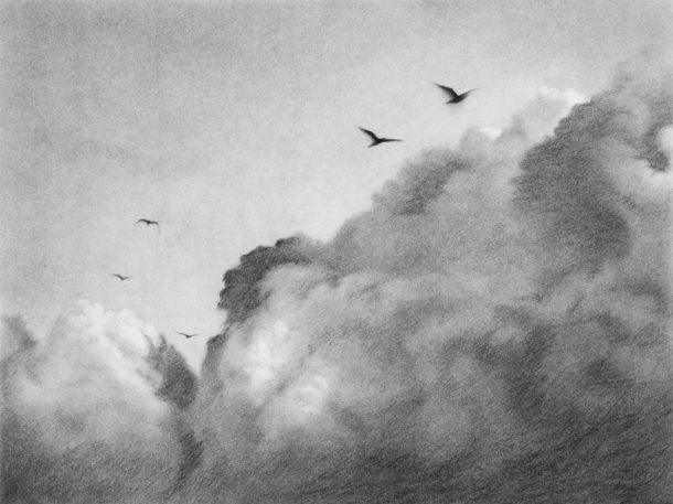 Toby Carr Fine Art - Nature in Black and White