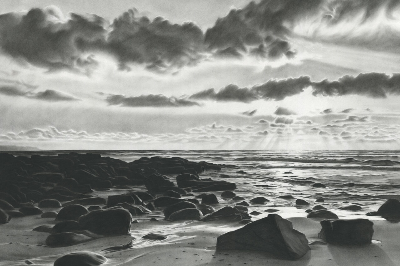 Toby Carr Fine Art - Nature in Black and White